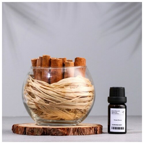 Набор ароматический: ваза-саше с корицей, ароматическое масло "Океанский бриз", 10 мл 79992