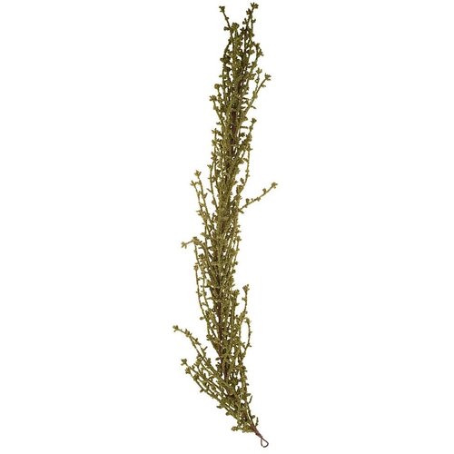 Lefard Искусственное растение Ambrosia (85 см)