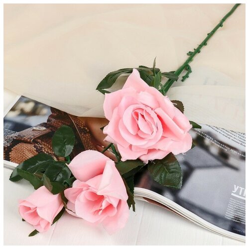Цветы искусственные роза акварель 75 см розовый