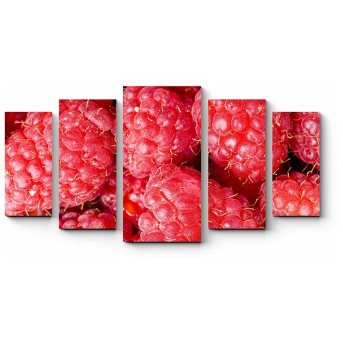 Модульная картина Крупные ягоды малины 120x66