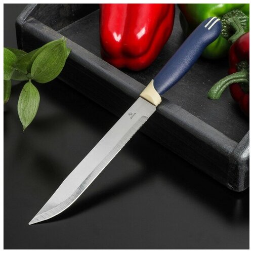 Нож Доляна "Страйп", универсальный, лезвие 15 см, цвет синий