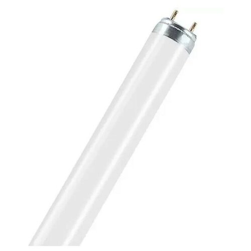 Osram Лампа люминесцентная Osram L 36W/77, 36 Вт, G13, 1200 мм, для растений