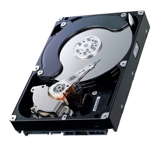 250 ГБ Внутренний жесткий диск HP 490684-001 (490684-001)