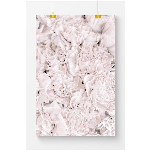 Постер на стену для интерьера Postermarkt Розовые пионы №4, размер 50х70 см, постеры картины для интерьера в тубусе