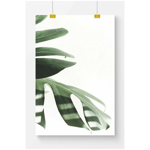 Постер для интерьера Postermarkt, 50х70 см в белой рамке, декор на стену Растение #8