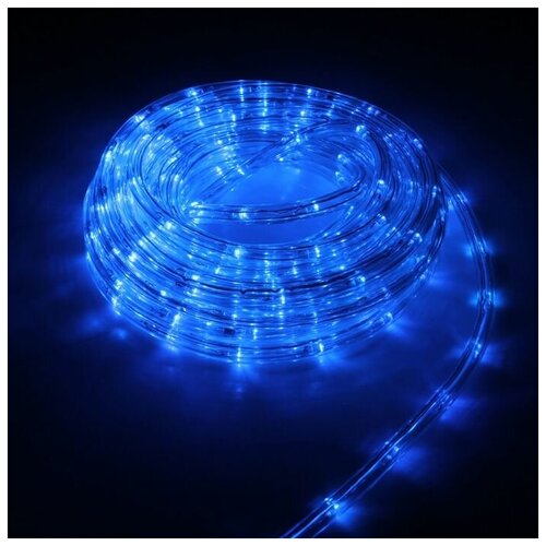 Luazon Lighting LED шнур 10 мм, круглый, 5 м, чейзинг, 2W-LED/м-24-220V, с контр. 8р, синий