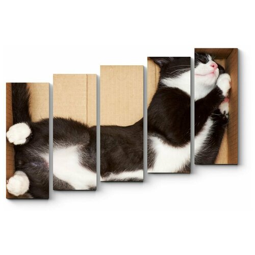Модульная картина Кот в картонном домике 190x133