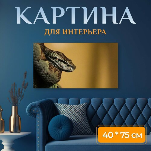 Картина на холсте "Змея, рептилия, животное" на подрамнике 75х40 см. для интерьера