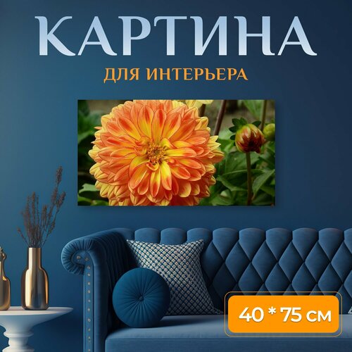 Картина на холсте "Цветок, красота природы, красочные цветы" на подрамнике 75х40 см. для интерьера