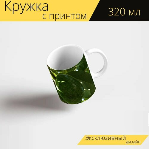 Кружка с рисунком, принтом "Авокадо, дерево авокадо, растение авокадо" 320 мл.