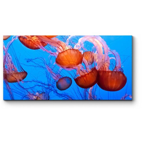 Модульная картина Чарующие океанские медузы 40x20