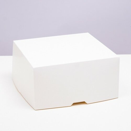 Коробка под бенто-торт, белая, 20,5 х 20,5 х 10 см(5 шт.)