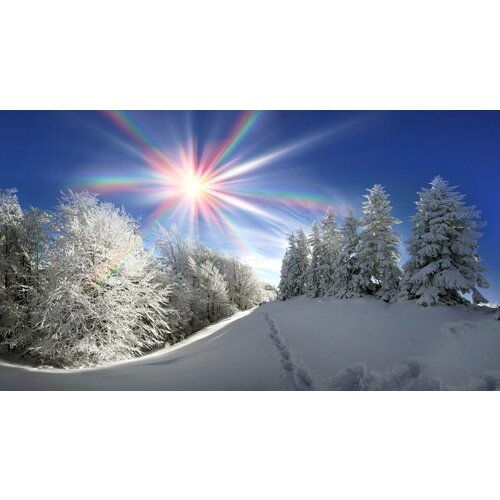 Картина на холсте 60x110 LinxOne "Лес небо лучи снег солнце" интерьерная для дома / на стену / на кухню / с подрамником