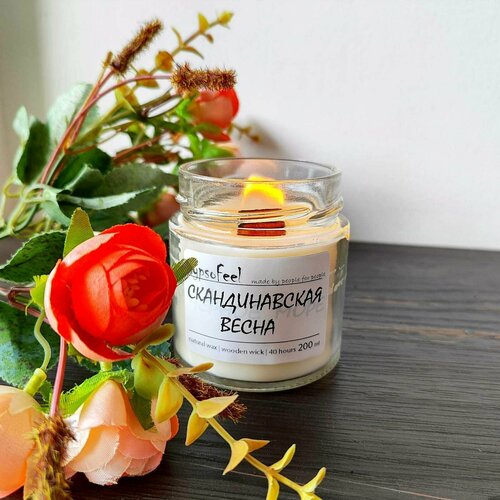 Ароматическая свеча для дома из соевого воска с деревянным фитилем, аромат скандинавская весна