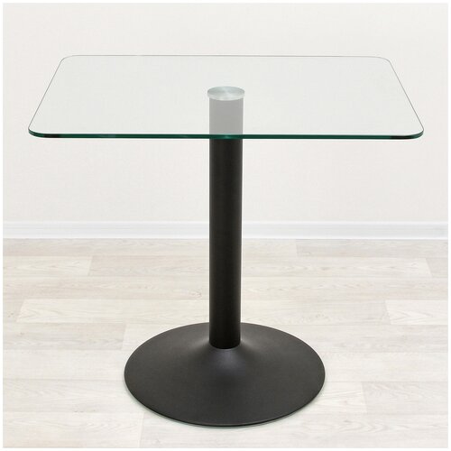 Стеклянный стол для кухни Троя-10 прозрачный/черный (800х600)