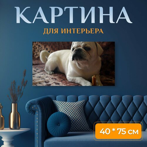 Картина на холсте "Собака, собачий, щенок" на подрамнике 75х40 см. для интерьера