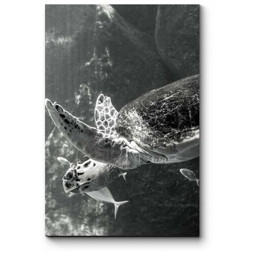 Модульная картина Морская черепаха 40x60