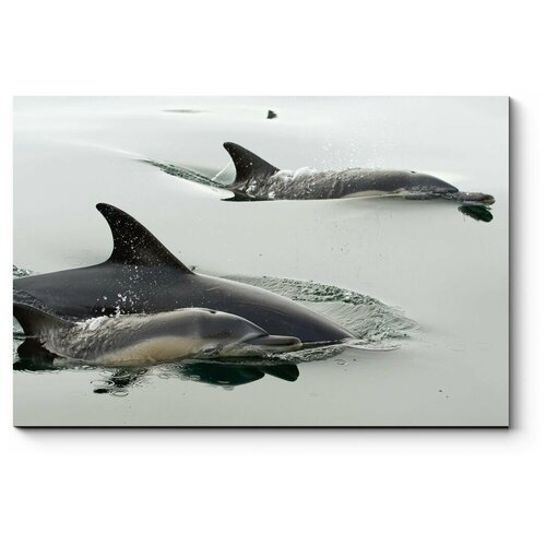 Модульная картина Счастливая семья дельфинов60x40