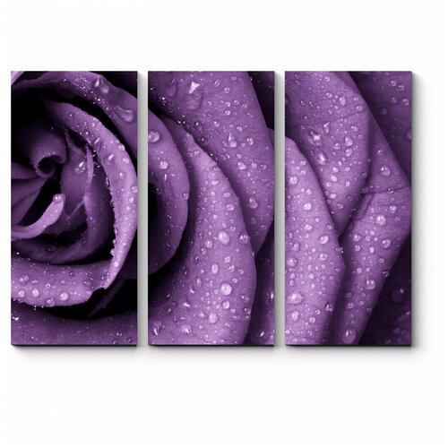 Модульная картина Фиолетовая роза 130x93