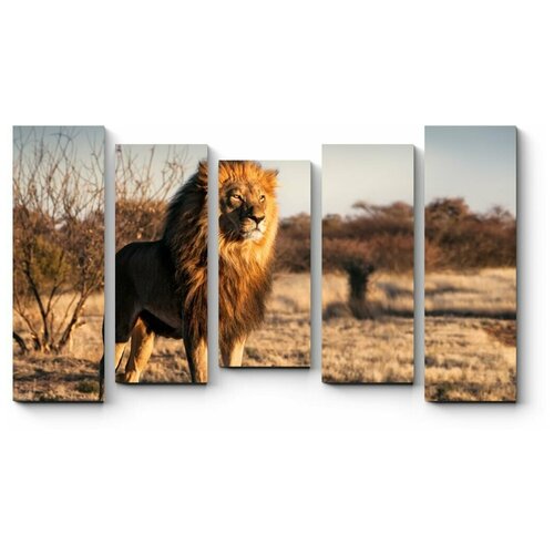 Модульная картина Одинокий лев 120x72