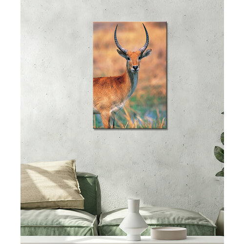 Картина - коричневая антилопа, антилопа , молодая антилопа, большие рога антилопы 60х80