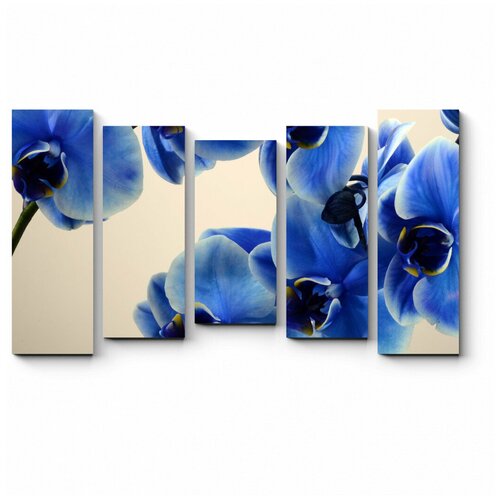 Модульная картина Синие орхидеи 120x72