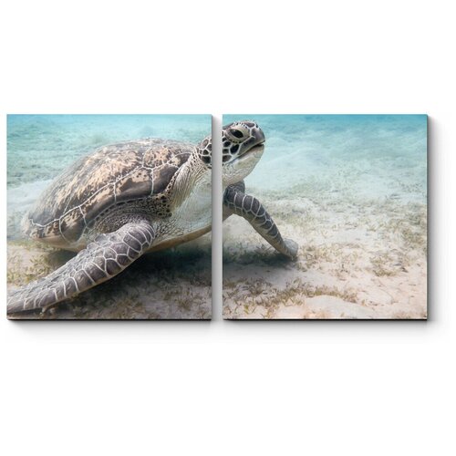 Модульная картина Чарующая подводная черепаха 50x25