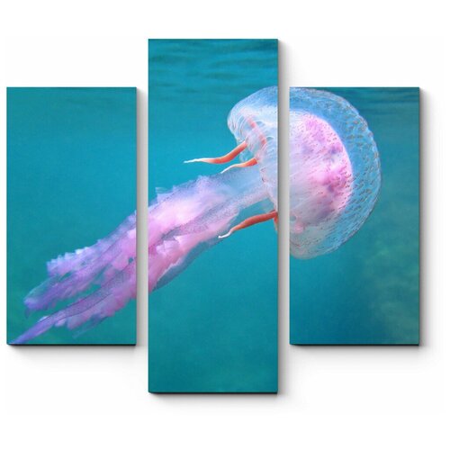 Модульная картина Опасная розовая красавица-медуза 80x72