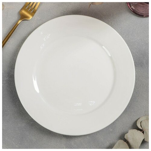 Тарелка фарфоровая обеденная с утолщённым краем White Label, d=22,9 см, цвет белый