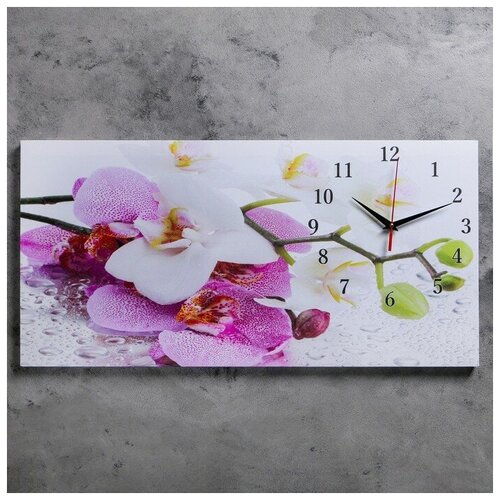 Часы настенные, на холсте, серия: Цветы, "Орхидеи", 40х76 см
