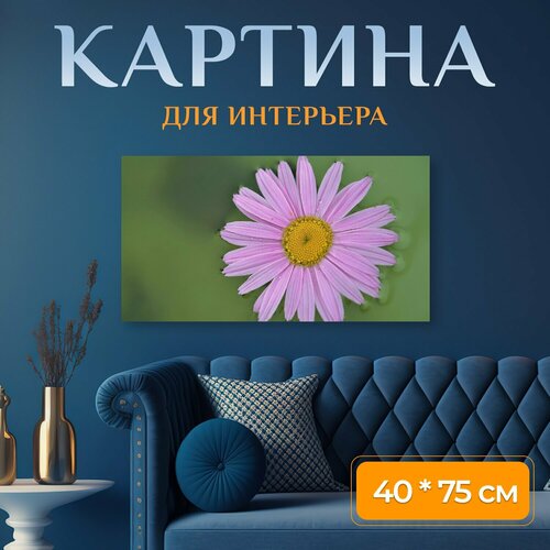 Картина на холсте "Маргаритка, цветок, завод" на подрамнике 75х40 см. для интерьера