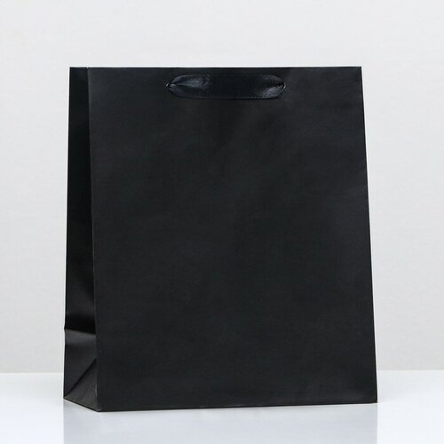 Пакет ламинированный «Чёрный», ML 23 × 27 × 11.5 см 9494165
