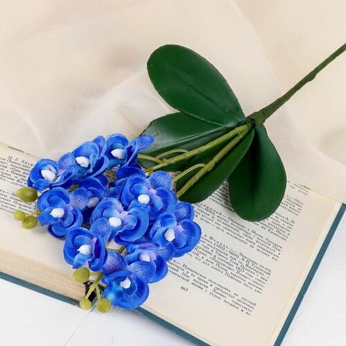 Цветы искусственные "Орхидея королевская" 3.5х28 см, синий