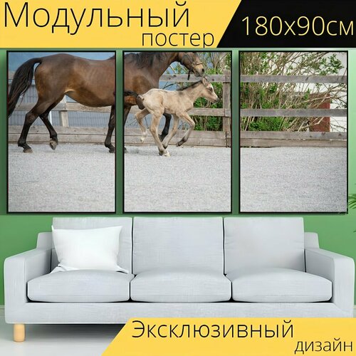 Модульный постер "Лошадь, пони, коричневый" 180 x 90 см. для интерьера