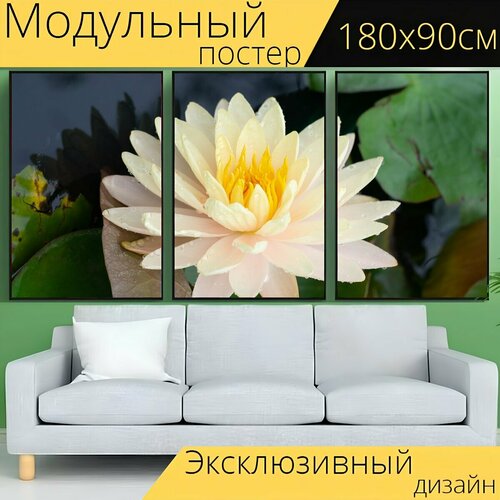 Модульный постер "Естественная красота, выборочный фокус, цветок лотоса" 180 x 90 см. для интерьера