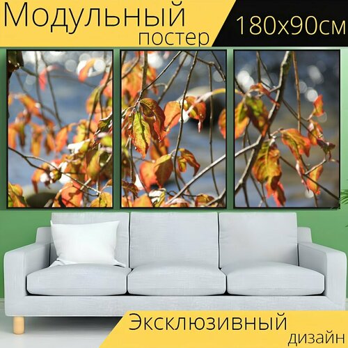 Модульный постер "Осенние листья, свет, тень" 180 x 90 см. для интерьера