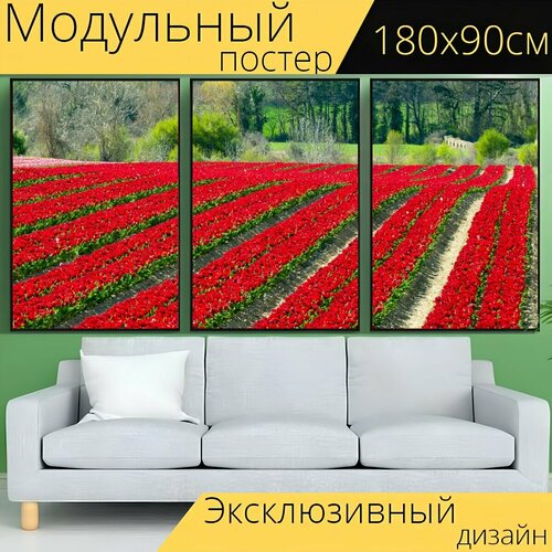 Модульный постер "Поле, растения, тюльпаны" 180 x 90 см. для интерьера