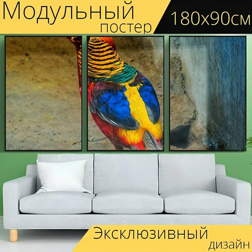 Модульный постер "Попугай, пару попугаев, пара" 180 x 90 см. для интерьера