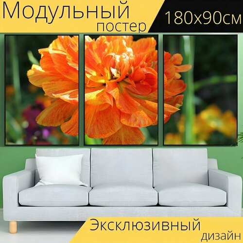 Модульный постер "Цвести, апельсин, цветок" 180 x 90 см. для интерьера
