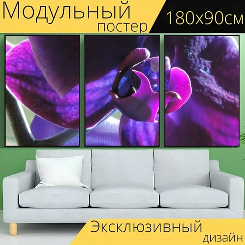 Модульный постер "Фиолетовая орхидея, дом, завод" 180 x 90 см. для интерьера