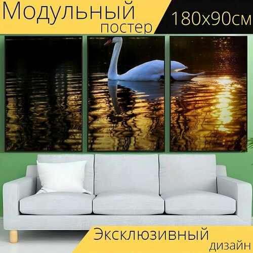 Модульный постер "Лебедь, птица, природа" 180 x 90 см. для интерьера
