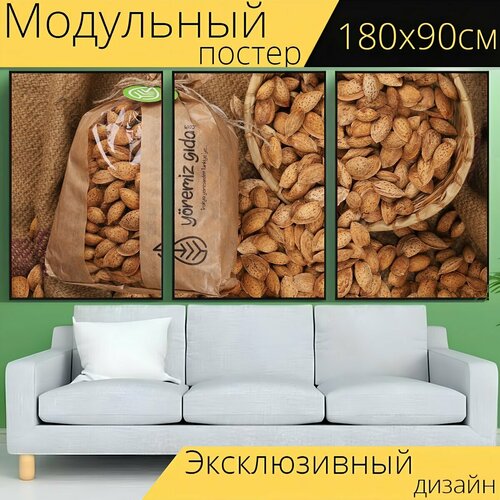 Модульный постер "Миндаль, грецкий орех, еда" 180 x 90 см. для интерьера