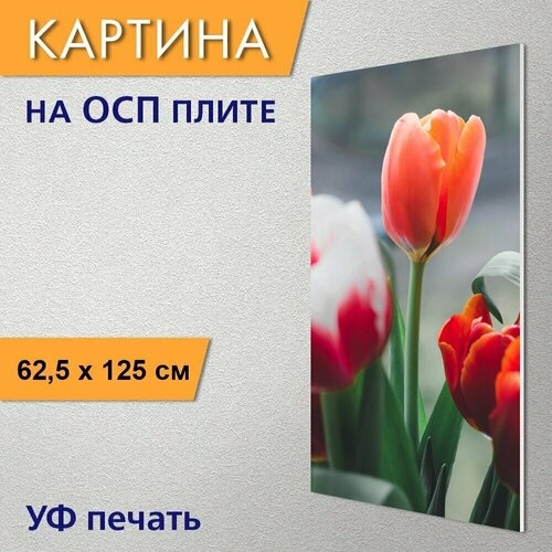 Вертикальная картина на ОСП "Тюльпаны, весна, цветы" 62x125 см. для интерьериа