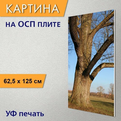 Вертикальная картина на ОСП "Ствол дерева, природа, дерево" 62x125 см. для интерьериа