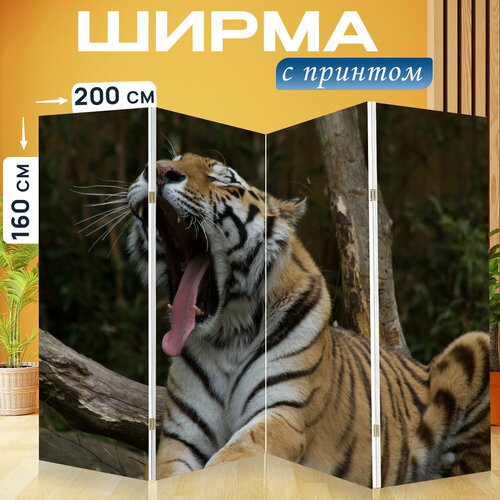Ширма перегородка с принтом "Тигр, сонный, зоопарк" на холсте - 200x160 см. для зонирования, раскладная