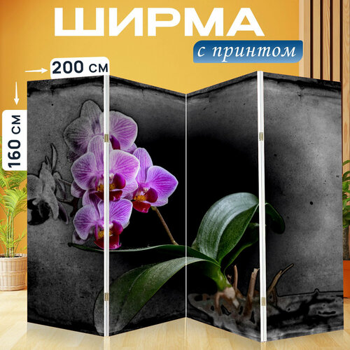 Ширма перегородка с принтом "Орхидея, картина, цвет" на холсте - 200x160 см. для зонирования, раскладная
