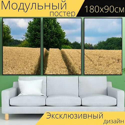 Модульный постер "Пшеница, зерно, кукурузное поле" 180 x 90 см. для интерьера