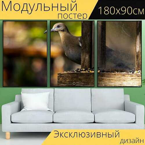 Модульный постер "Птица, дикая природа, голубь" 180 x 90 см. для интерьера