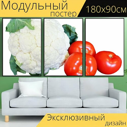 Модульный постер "Овощи, цветная капуста, помидоры" 180 x 90 см. для интерьера