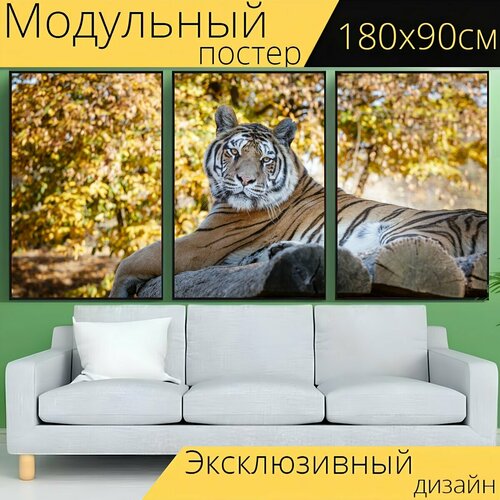 Модульный постер "Природа, тигр, животное" 180 x 90 см. для интерьера